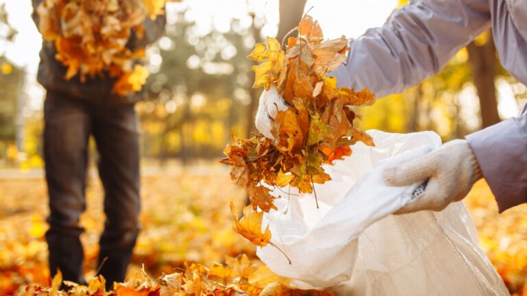 9 Easy Fall Cleaning Tips for Your Home and Yard