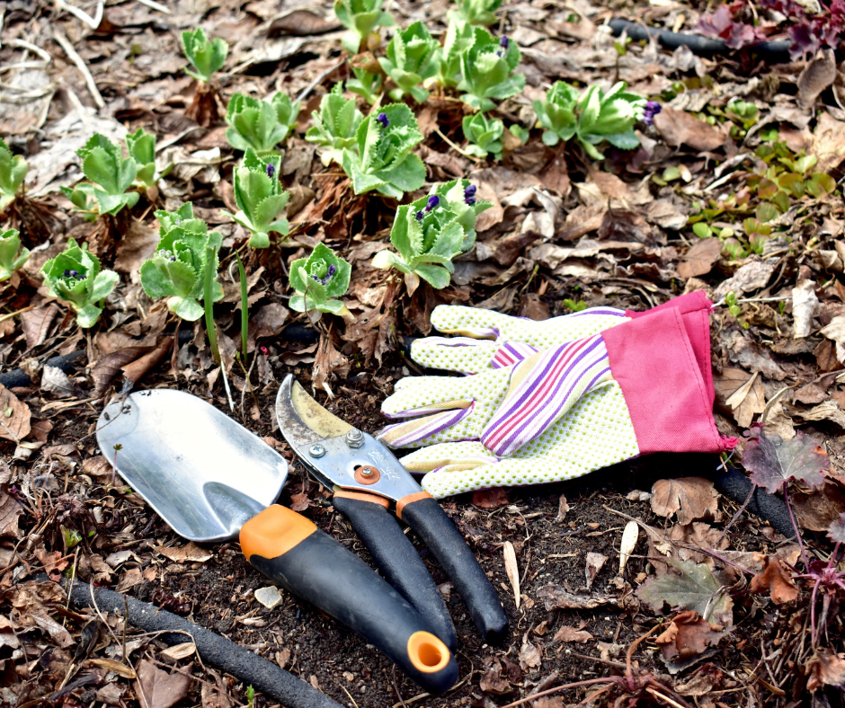 Get Summer-Ready with These Essential Yard Cleaning Tips